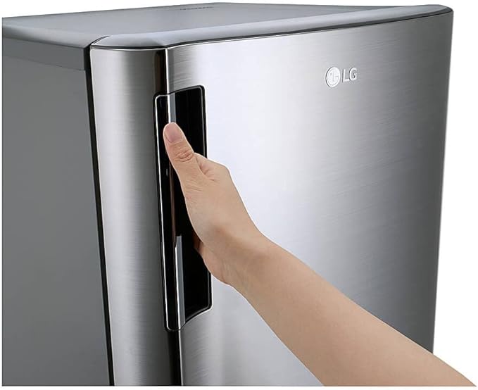 LG 6 cu. ft. Platinum Silver LG Fridge | Buy Now – Household Hunter